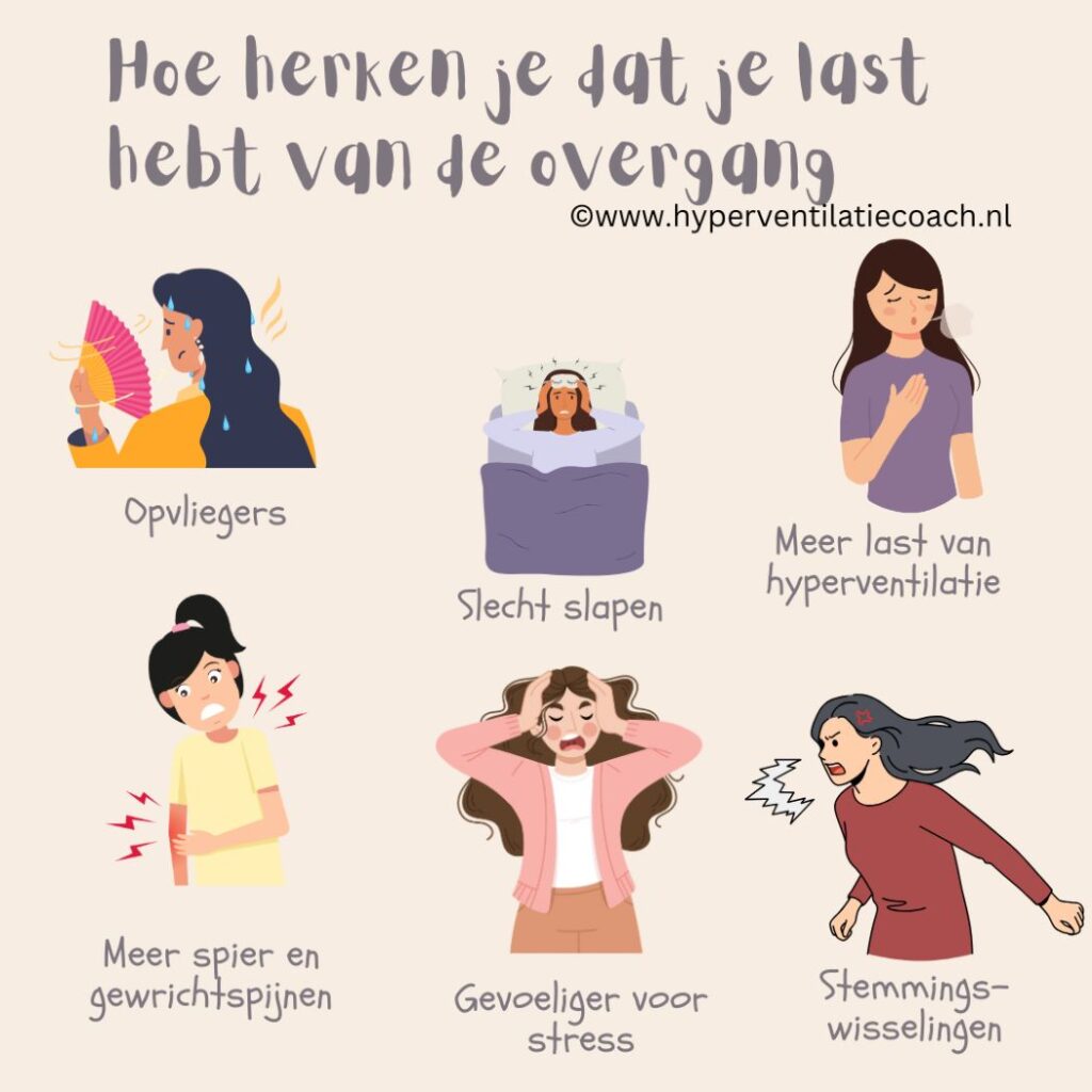 Hormonen en Hun Invloed op de Overgang en Stressklachten - Zettje in de ...